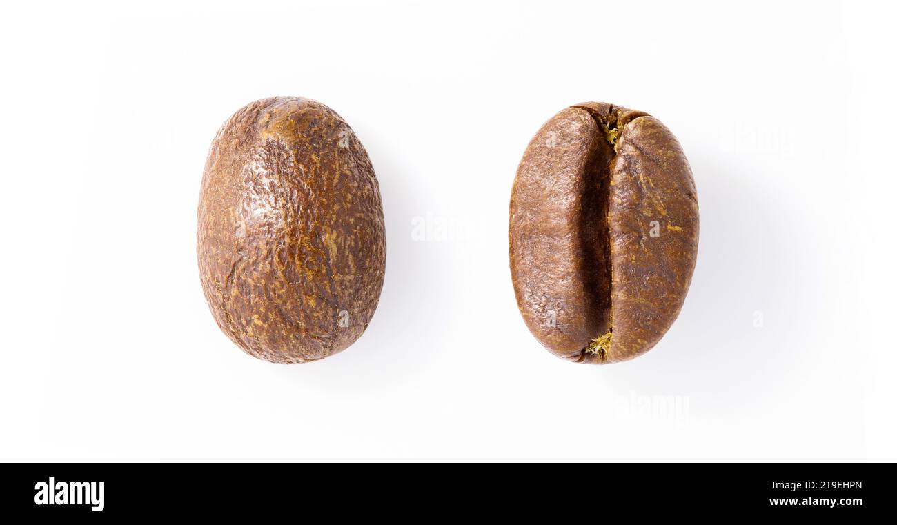 Coffee beans, two pieces close-up, view from different sides Stock ...