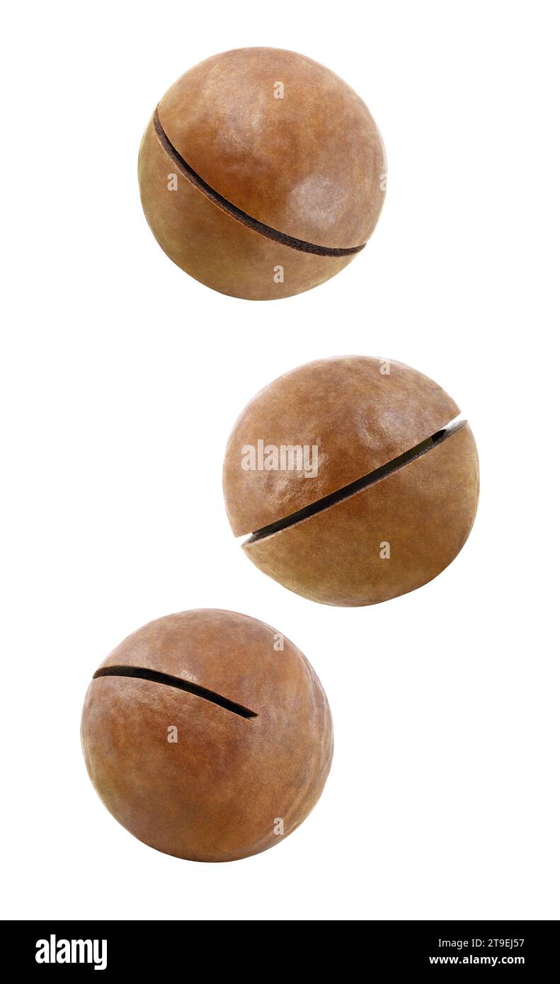 Macadamia nuts whole three, fall, fly, soaring, isolated on a white ...
