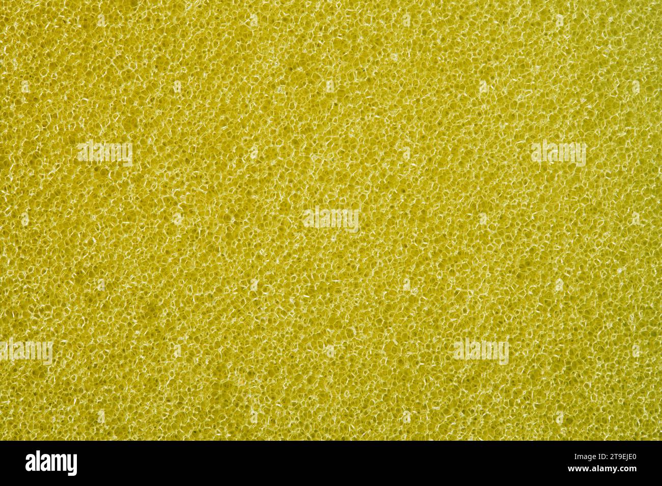 Yellow cell foam rubber, close-up macro view Stock Photo - Alamy