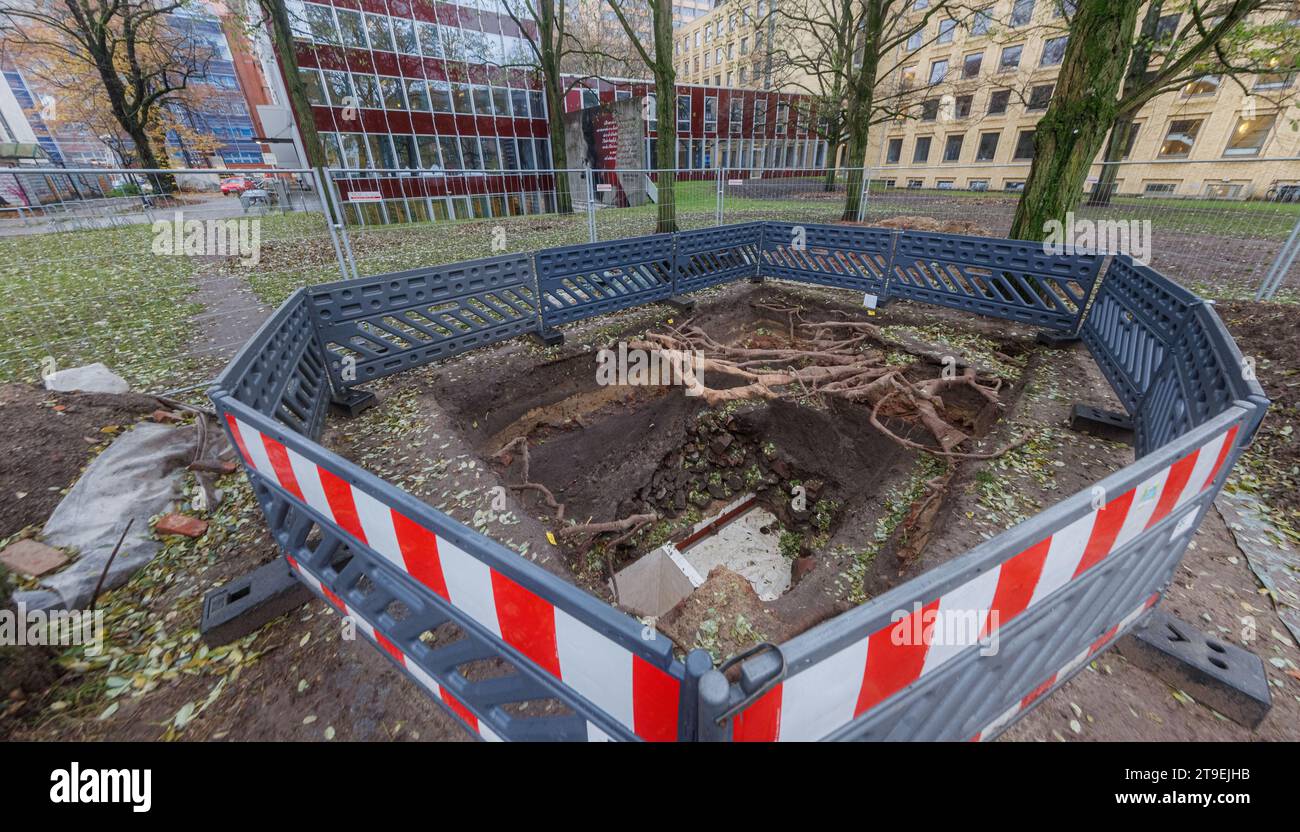 Hamburg, Germany. 23rd Nov, 2023. View of a mikva, a ritual immersion ...
