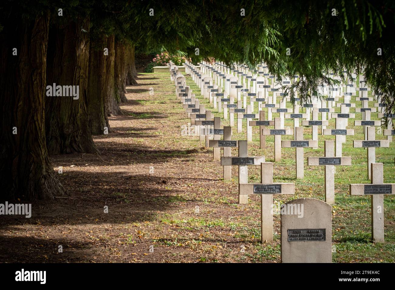 Vignemont French national cemetery, which holds the remains of 3,108 ...