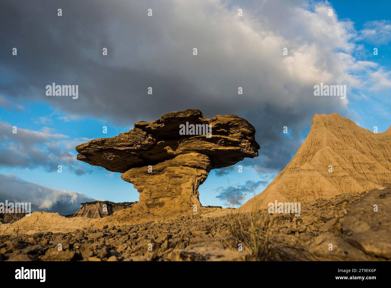 Semi-desert, Bardenas Reales Natural Park, Biosphere Reserve, Navarre ...