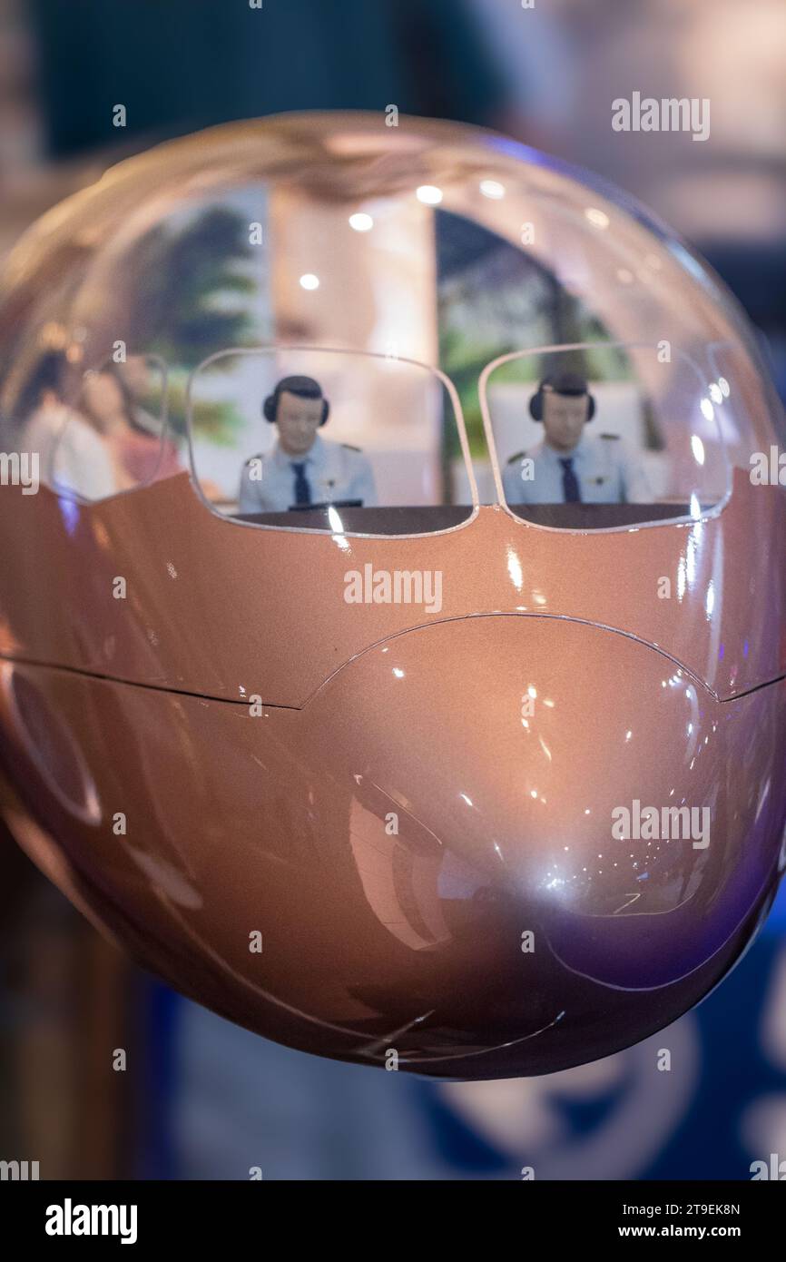 Miniature model of business jet nassel and pilot cockpit view Stock ...