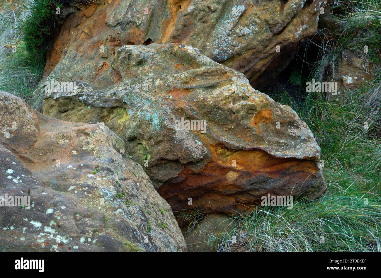 Reddish rock of limonite, Morsum Cliff geotope, Morsum, North Sea ...