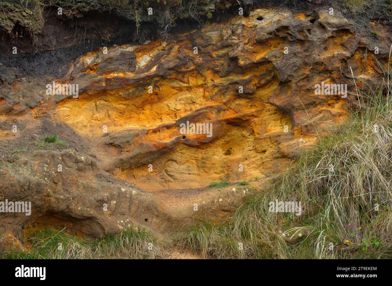 Reddish rock of limonite, Morsum Cliff geotope, Morsum, North Sea ...