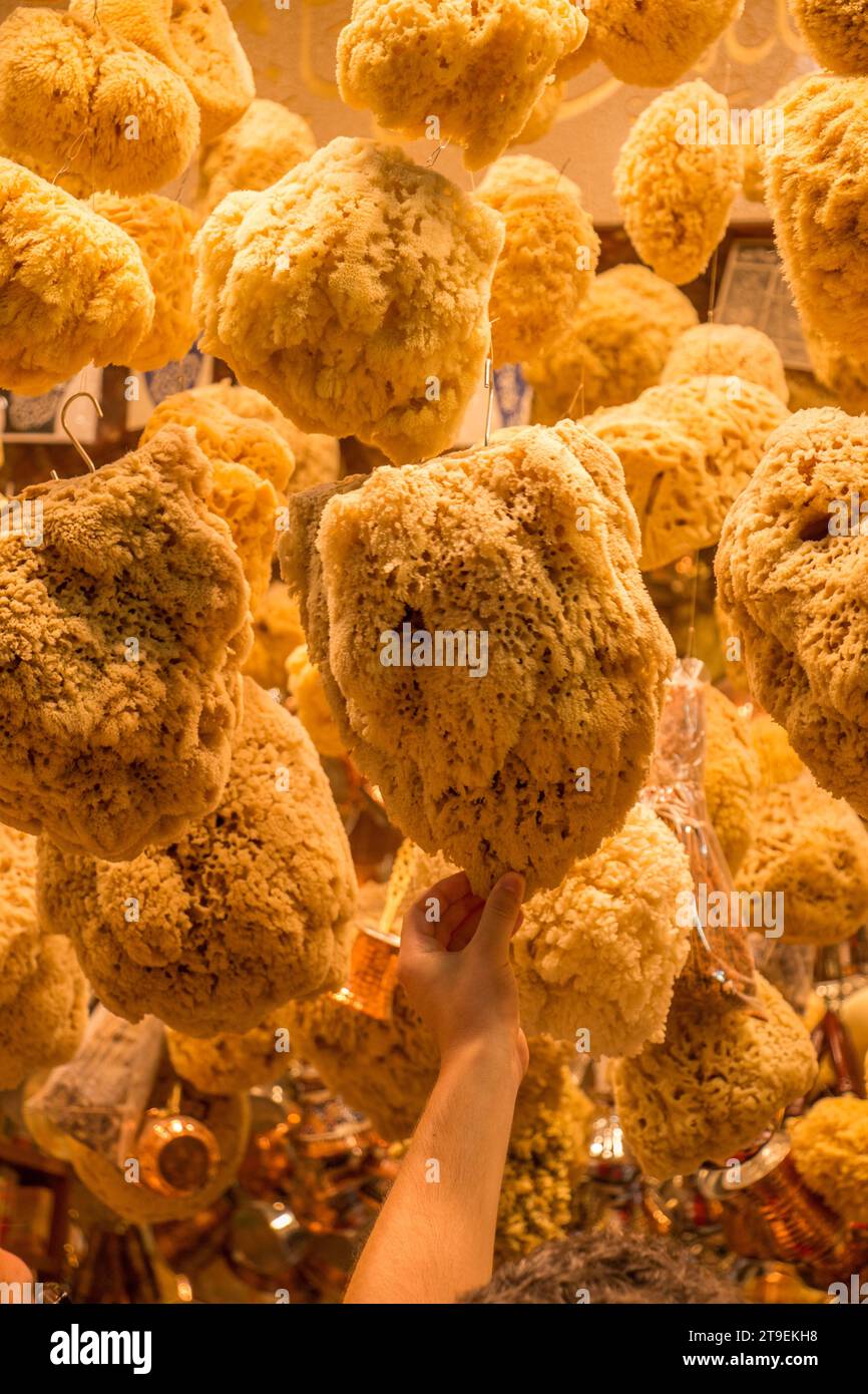 Collection of sea sponges hanging on a market stall Stock Photo - Alamy