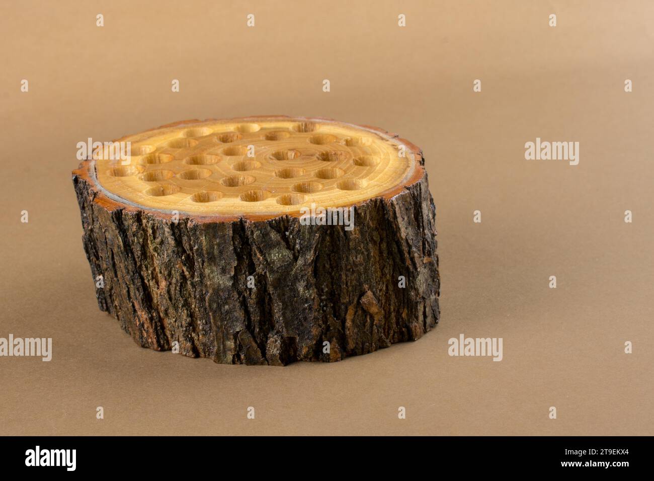 Small piece of cut wood log used for wood texture background Stock ...