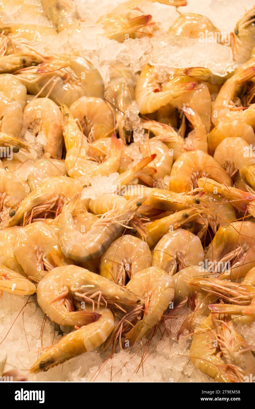 Prawn head hi-res stock photography and images - Alamy