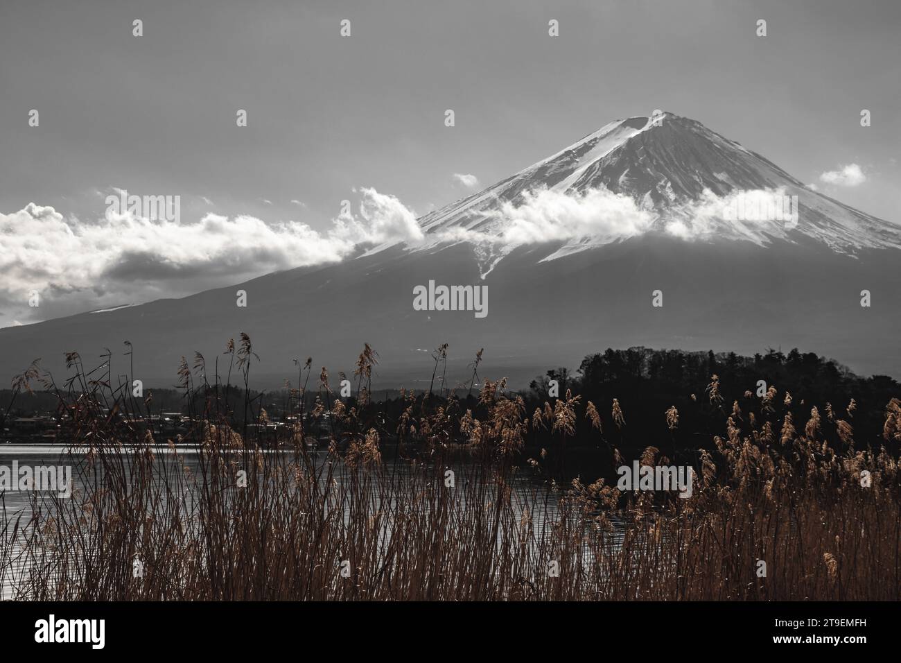 Mt. Fuji (Fuji-San) is the tallest peak at 3,776m in Japan, about 100 ...