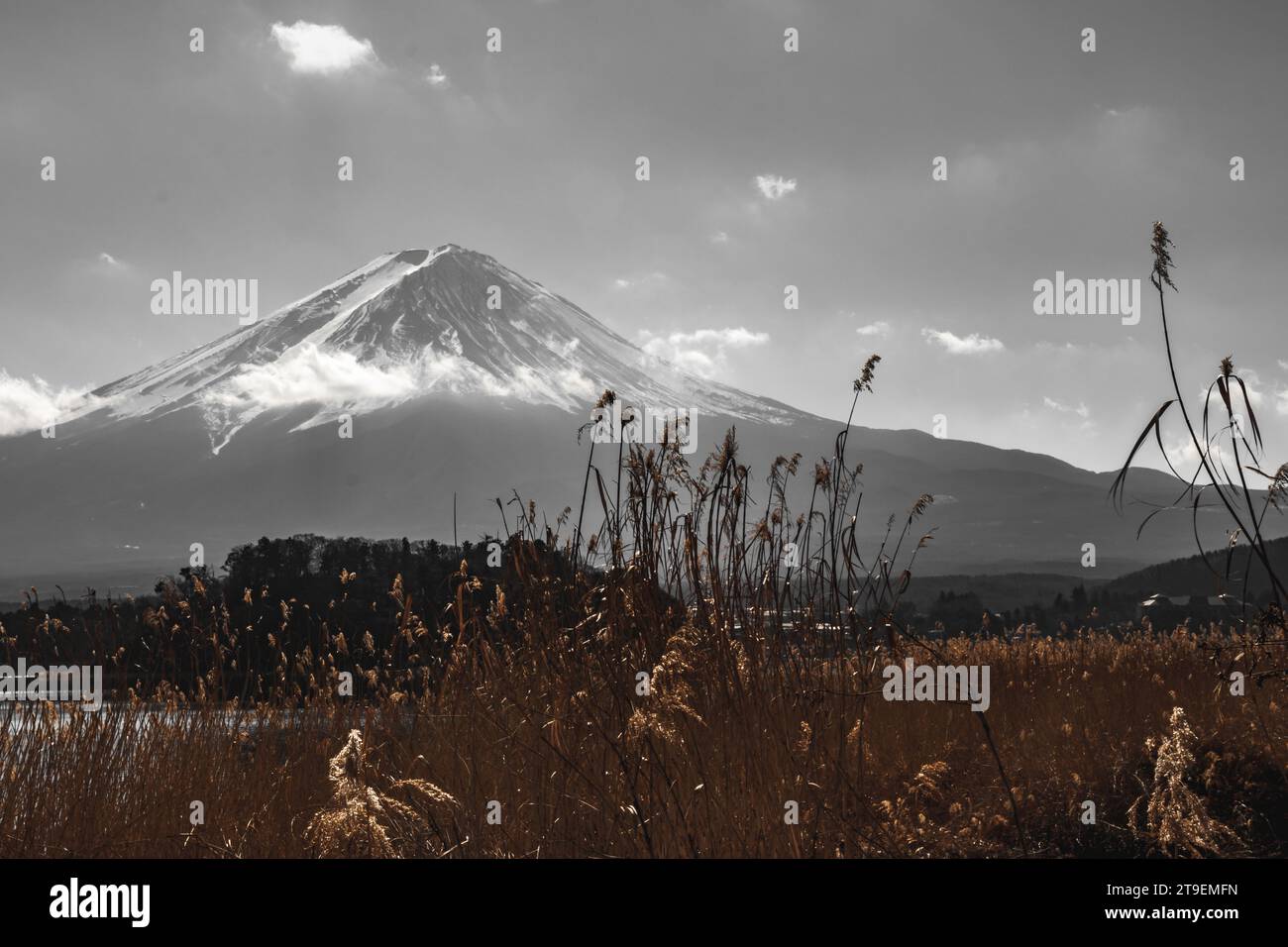 Mt. Fuji (Fuji-San) is the tallest peak at 3,776m in Japan, about 100 ...