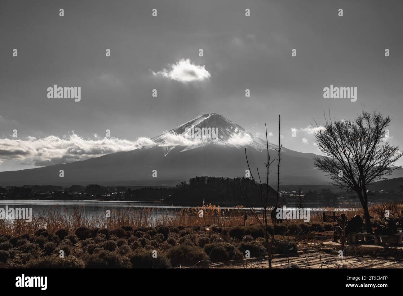 Mt. Fuji (Fuji-San) is the tallest peak at 3,776m in Japan, about 100 ...