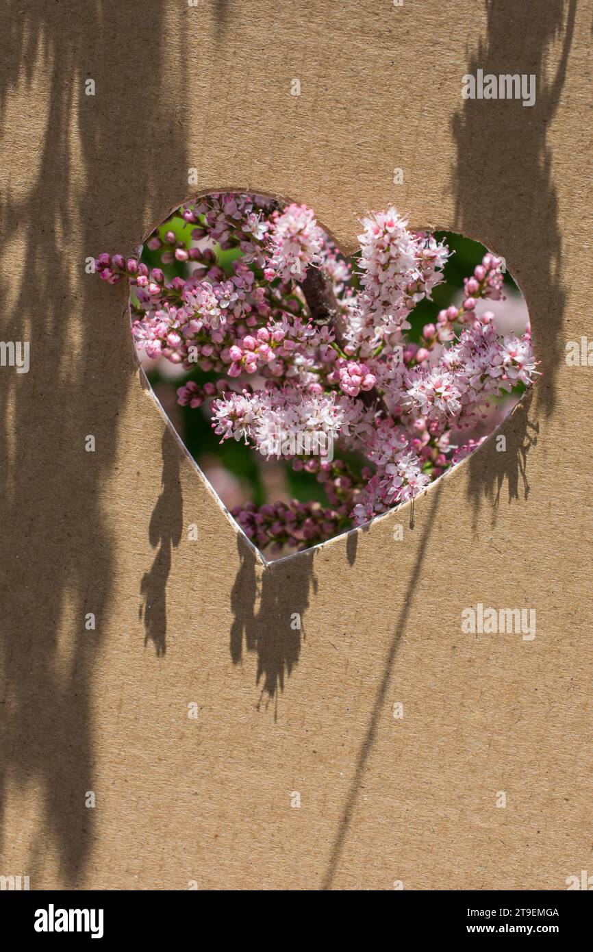 Flowers seen through heart shape cut out of cardboard Stock Photo - Alamy