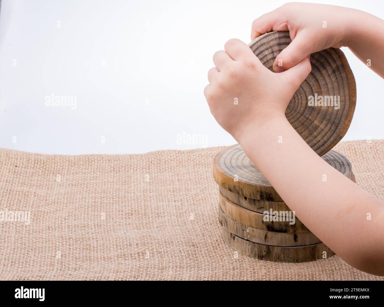 Wood Log cut in round thin pieces in hand Stock Photo - Alamy