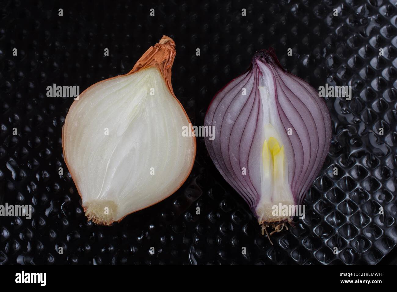 Onion bulb cut in half on a background Stock Photo - Alamy