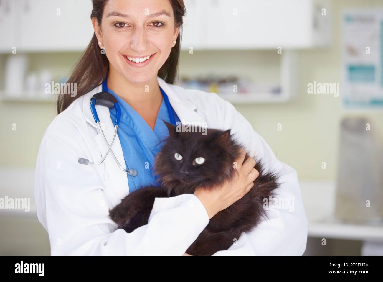 Vet portrait, cat and woman happiness for medical help, wellness ...
