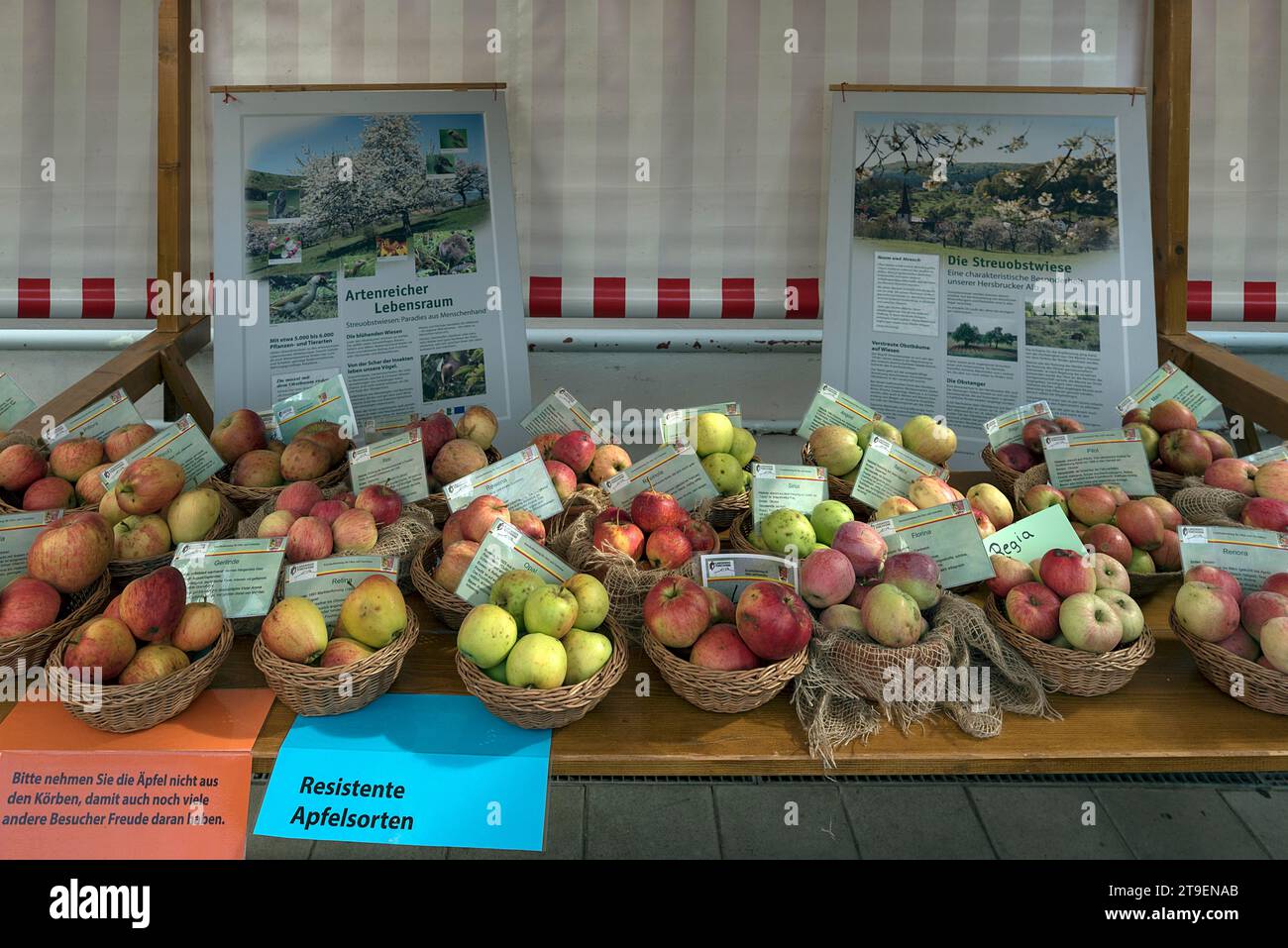 Different apple varieties with information boards at an apple market ...