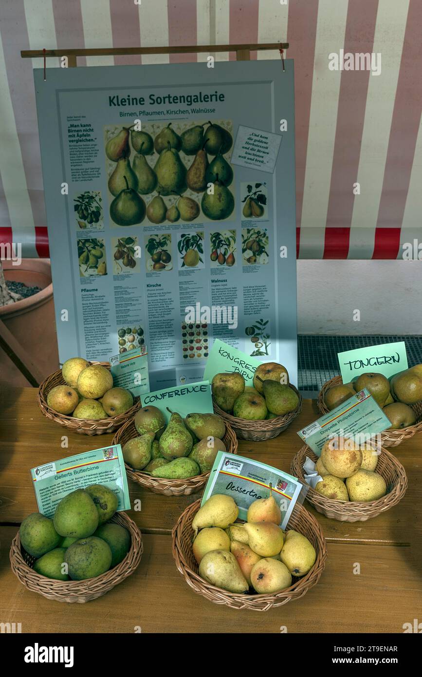 Different varieties of pears with information board at a fruit market ...