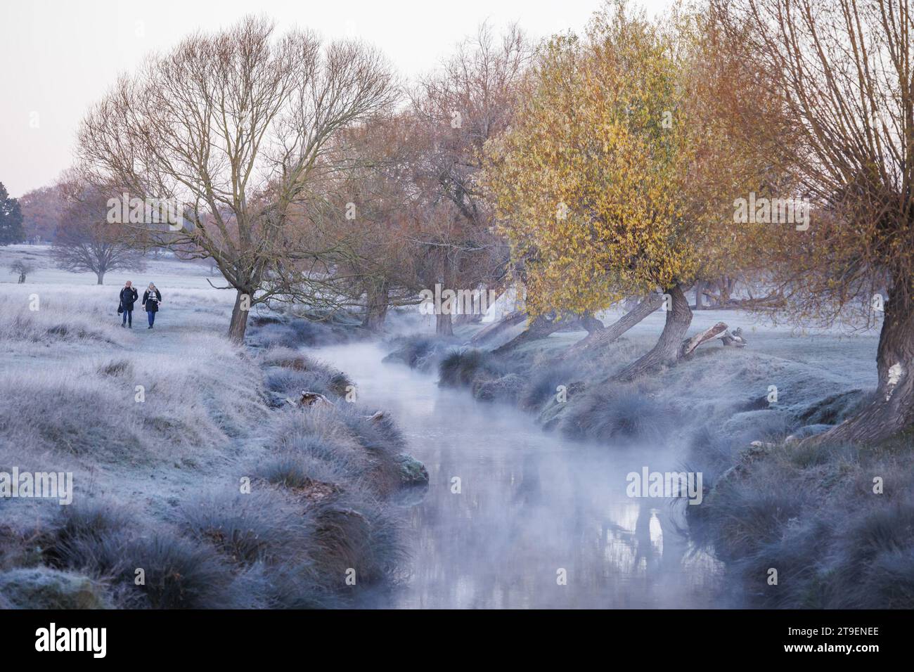 London, UK. 25th Nov, 2023. Two women walk through a mist and frost ...
