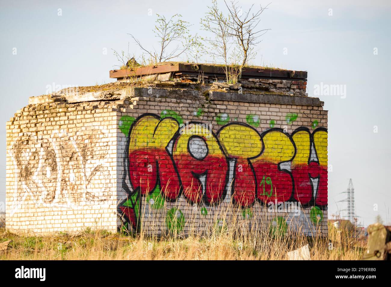 The graffiti-covered walls of an abandoned water well with trees ...