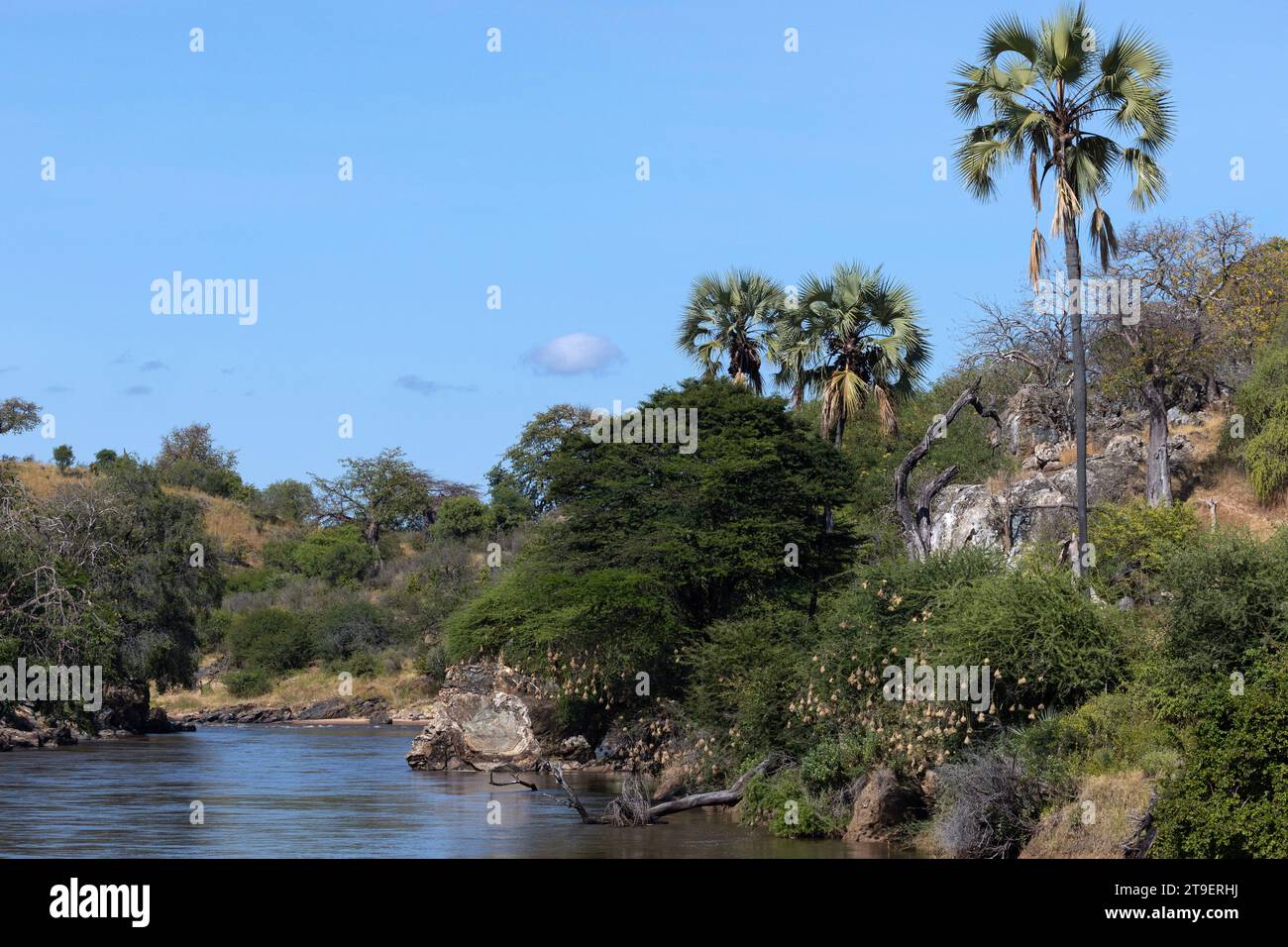 The Great Ruaha River debouches from the gorge system that cut along a ...