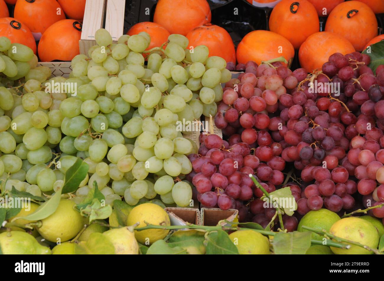 Copenhagen, Denmark /24 November. 2023/Red and green grapes display for ...