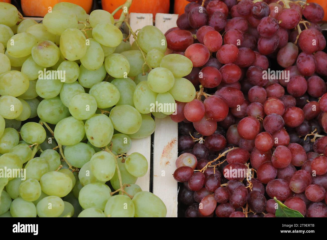 Copenhagen, Denmark /24 November. 2023/Red and green grapes display for ...