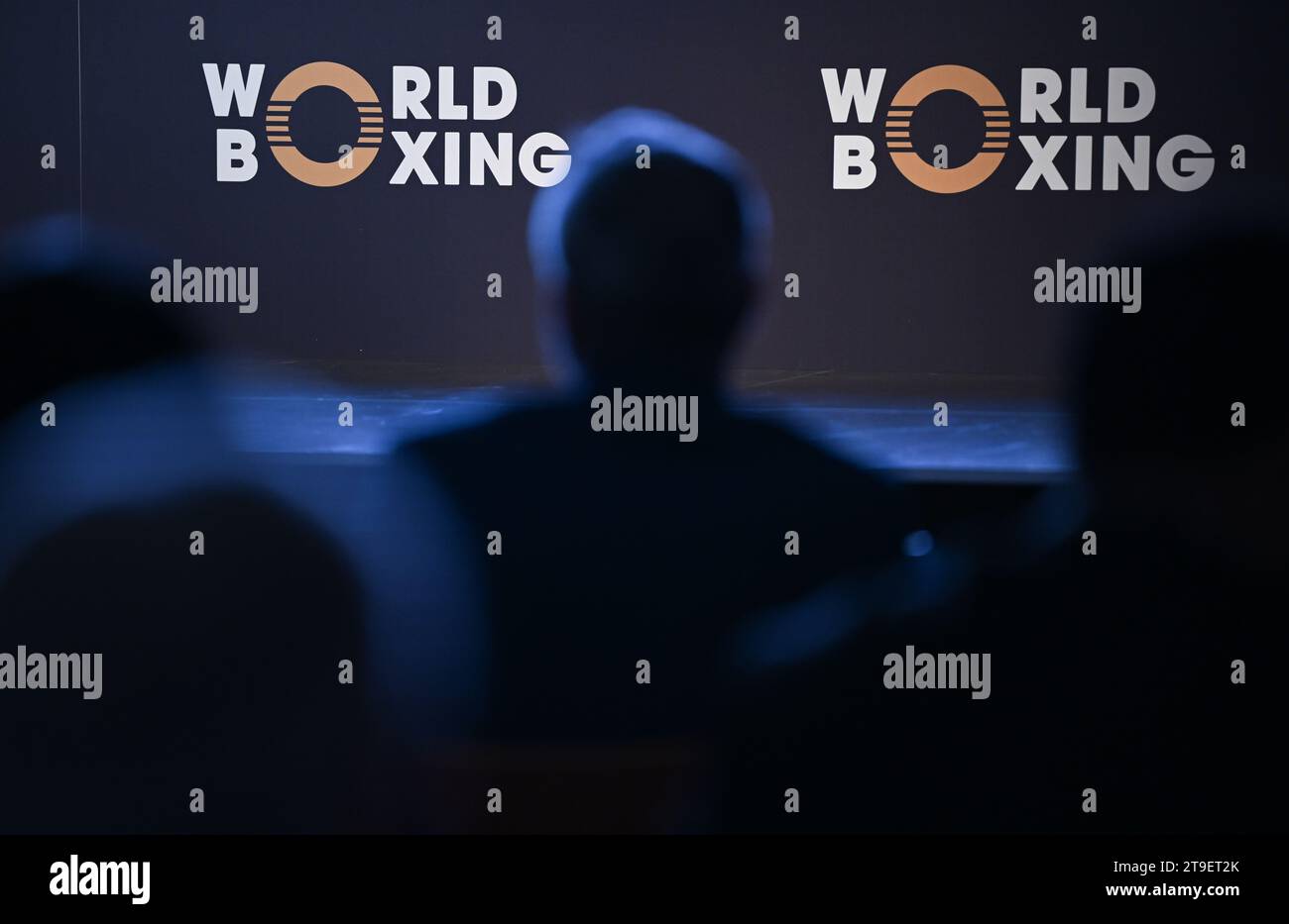 25 November 2023, Hesse, Frankfurt/Main: Delegates sit in front of the ...