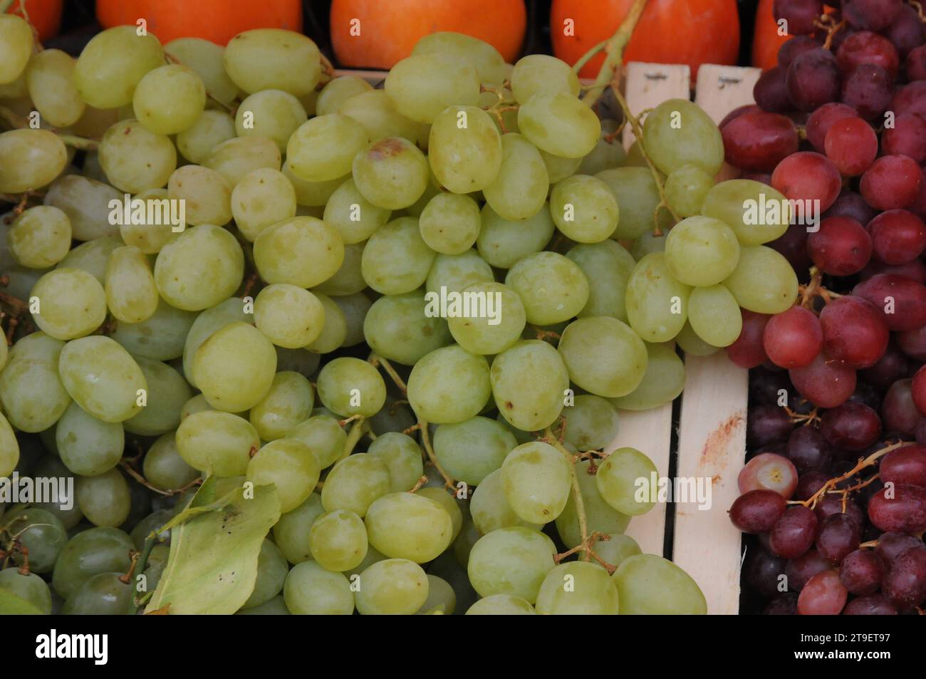 Copenhagen, Denmark /24 November. 2023/Red and green grapes display for ...