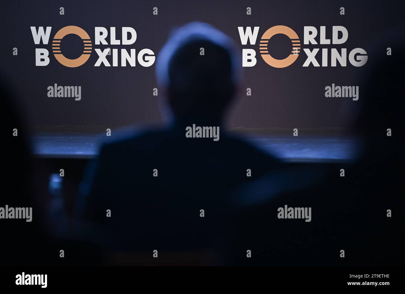 25 November 2023, Hesse, Frankfurt/Main: A delegate sits in front of ...