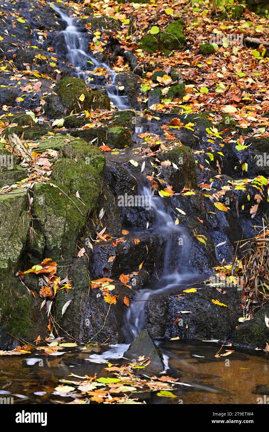 Beautiful colorful natural background with a stream in the forest and ...
