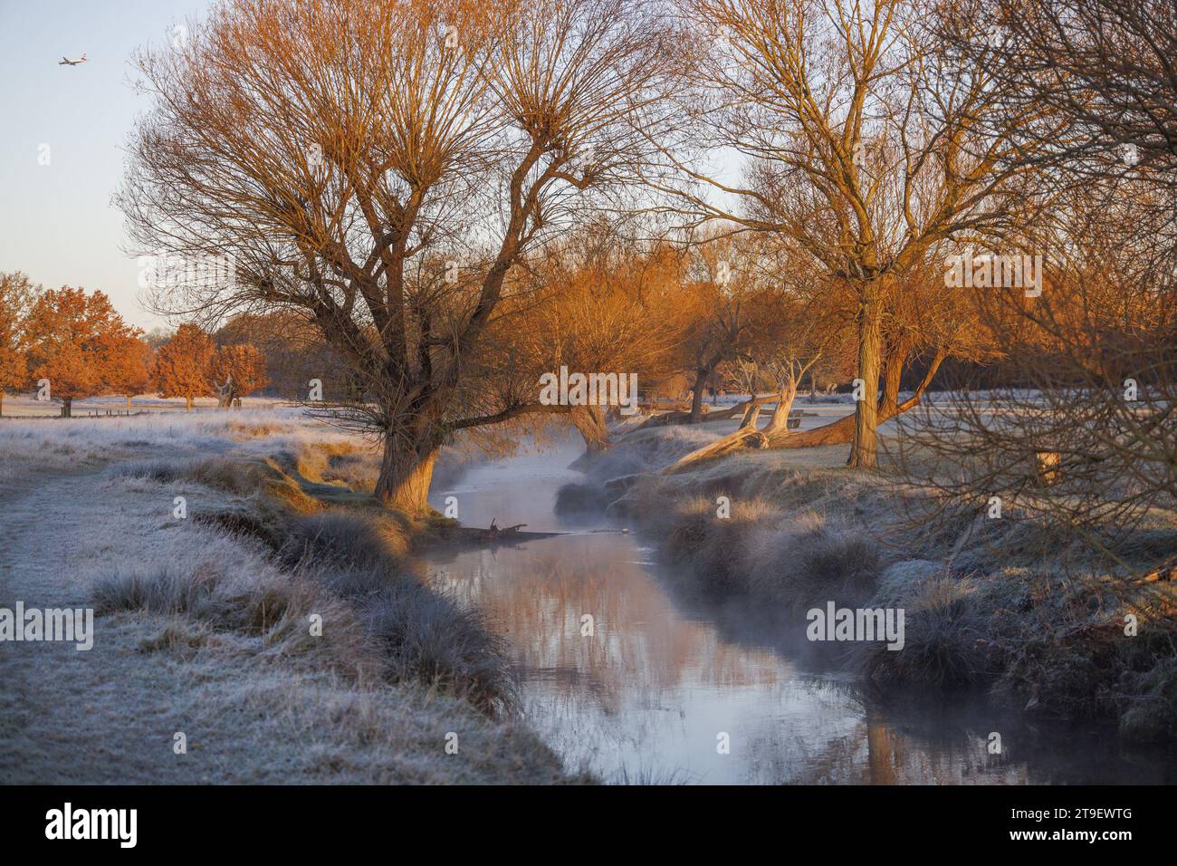 London, UK. 25th Nov, 2023. Frost covers the landscape in Richmond park ...
