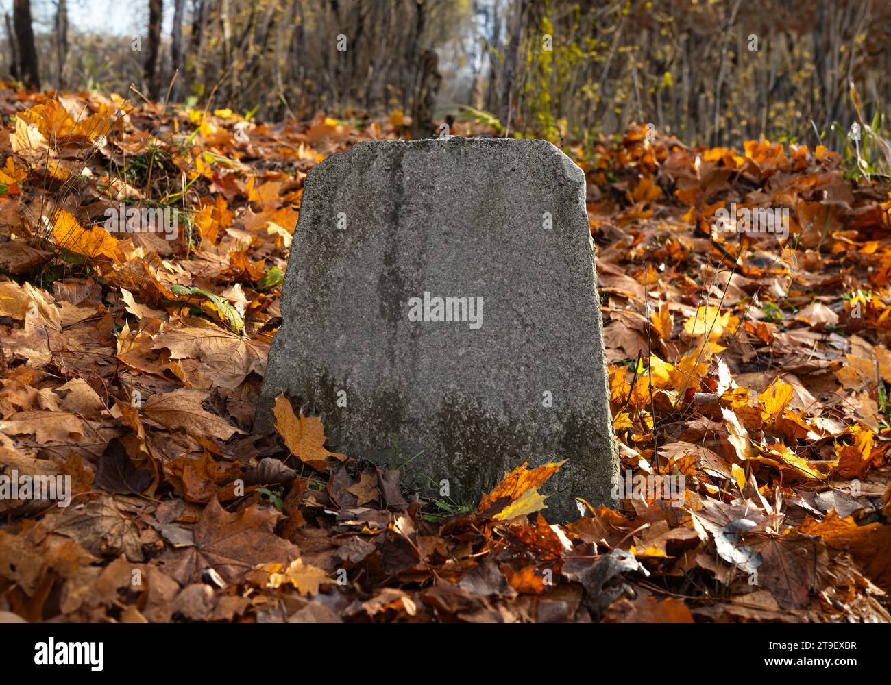 Old ancient gravestone, tomb stone Stock Photo - Alamy