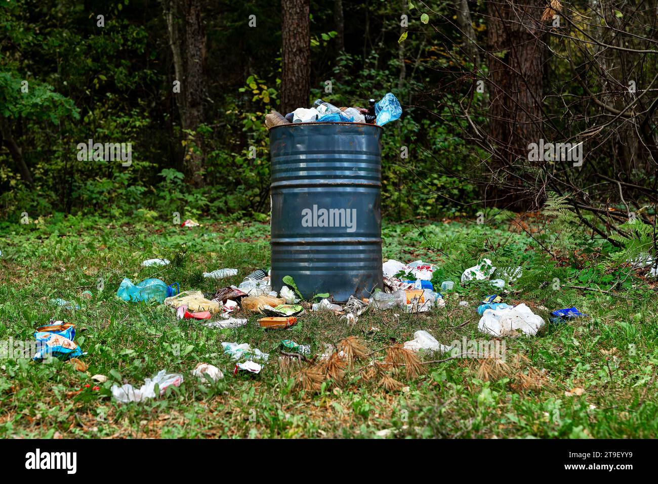 Garbage, litter, rubbish on grass in nature, forest Stock Photo - Alamy