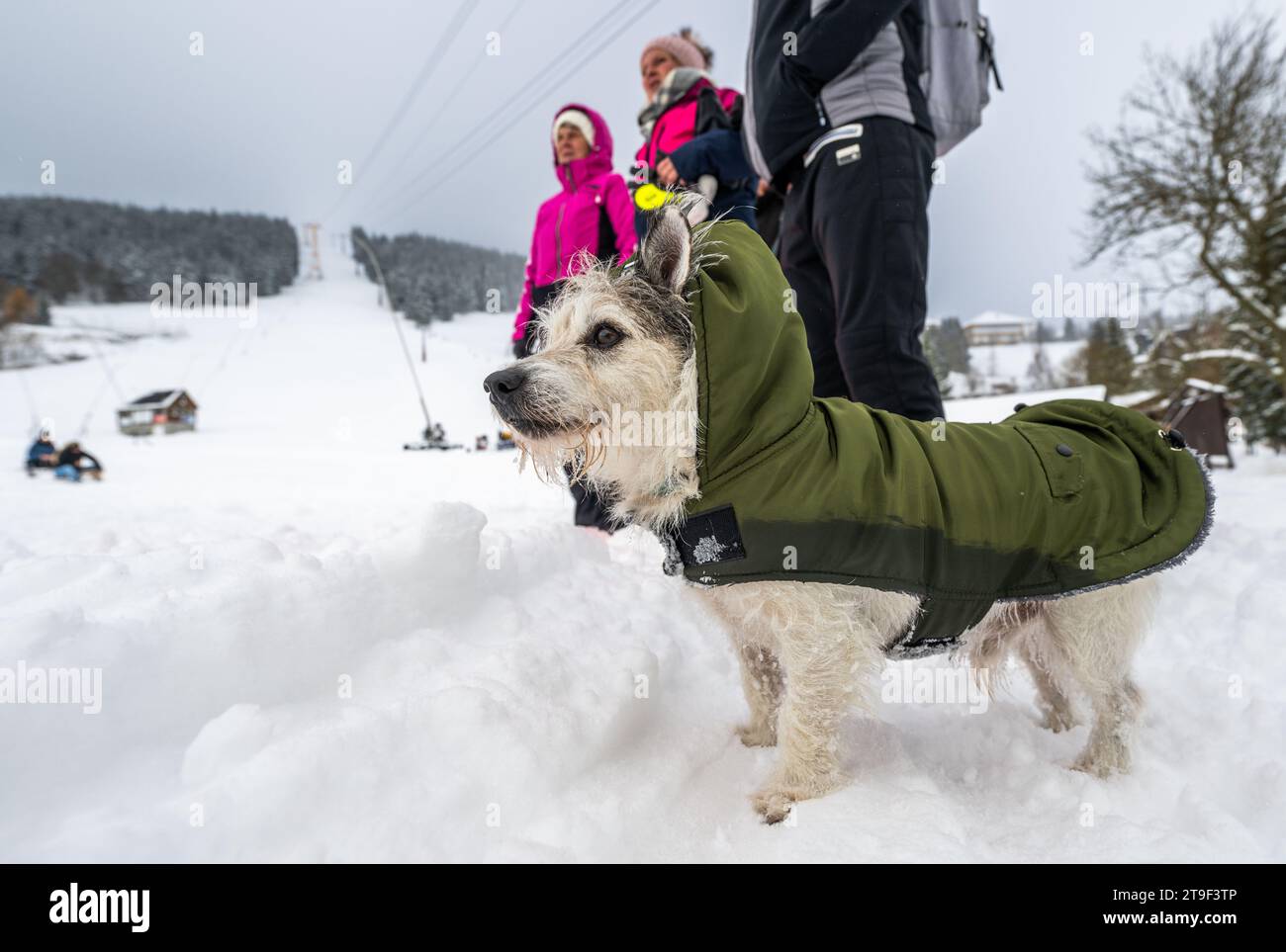 Balou mountains hi-res stock photography and images - Alamy