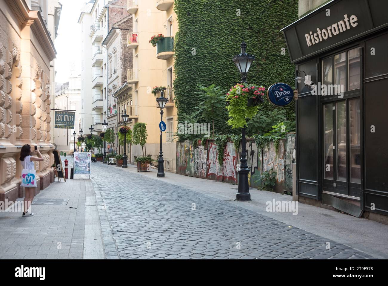 Budapest, Nyary Pal utca, Stadtgestaltung // Budapest, Nyary Pal utca ...
