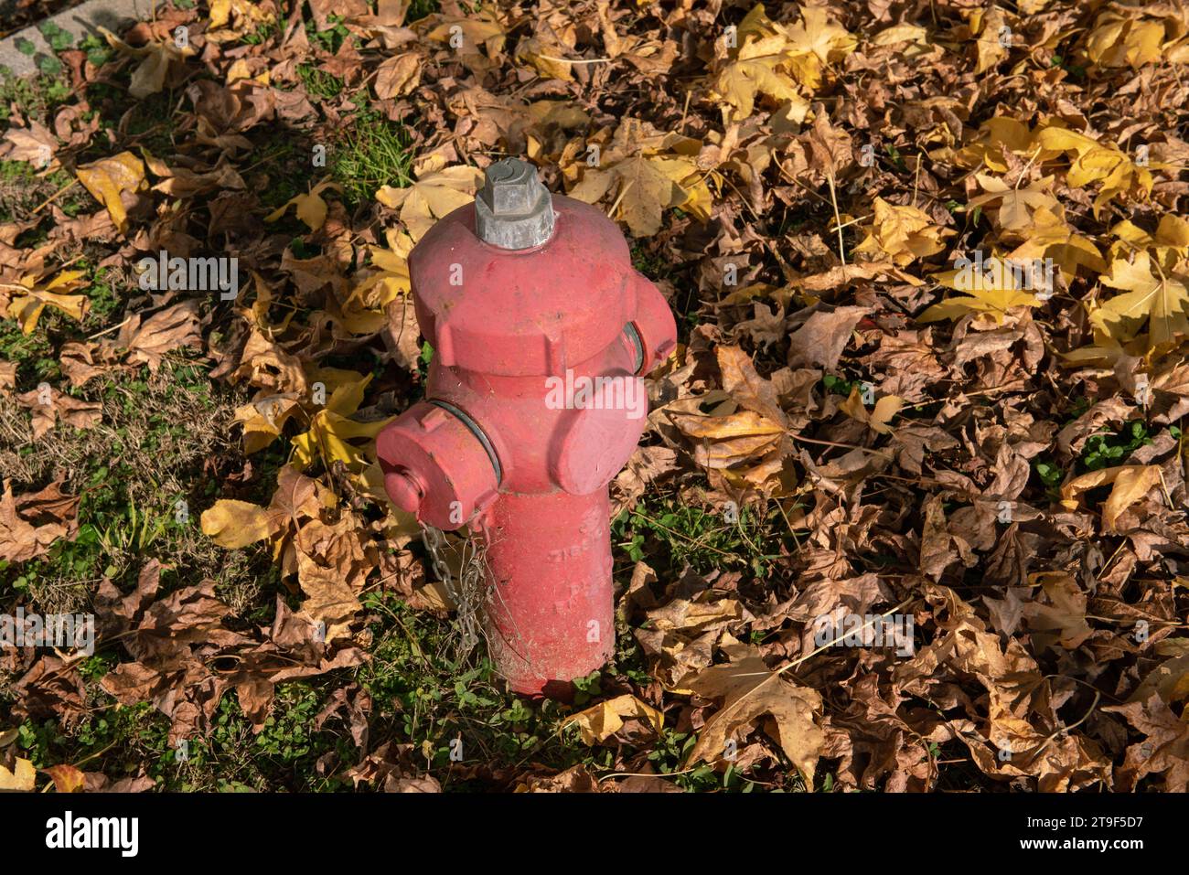Place danger sign points hi-res stock photography and images - Alamy