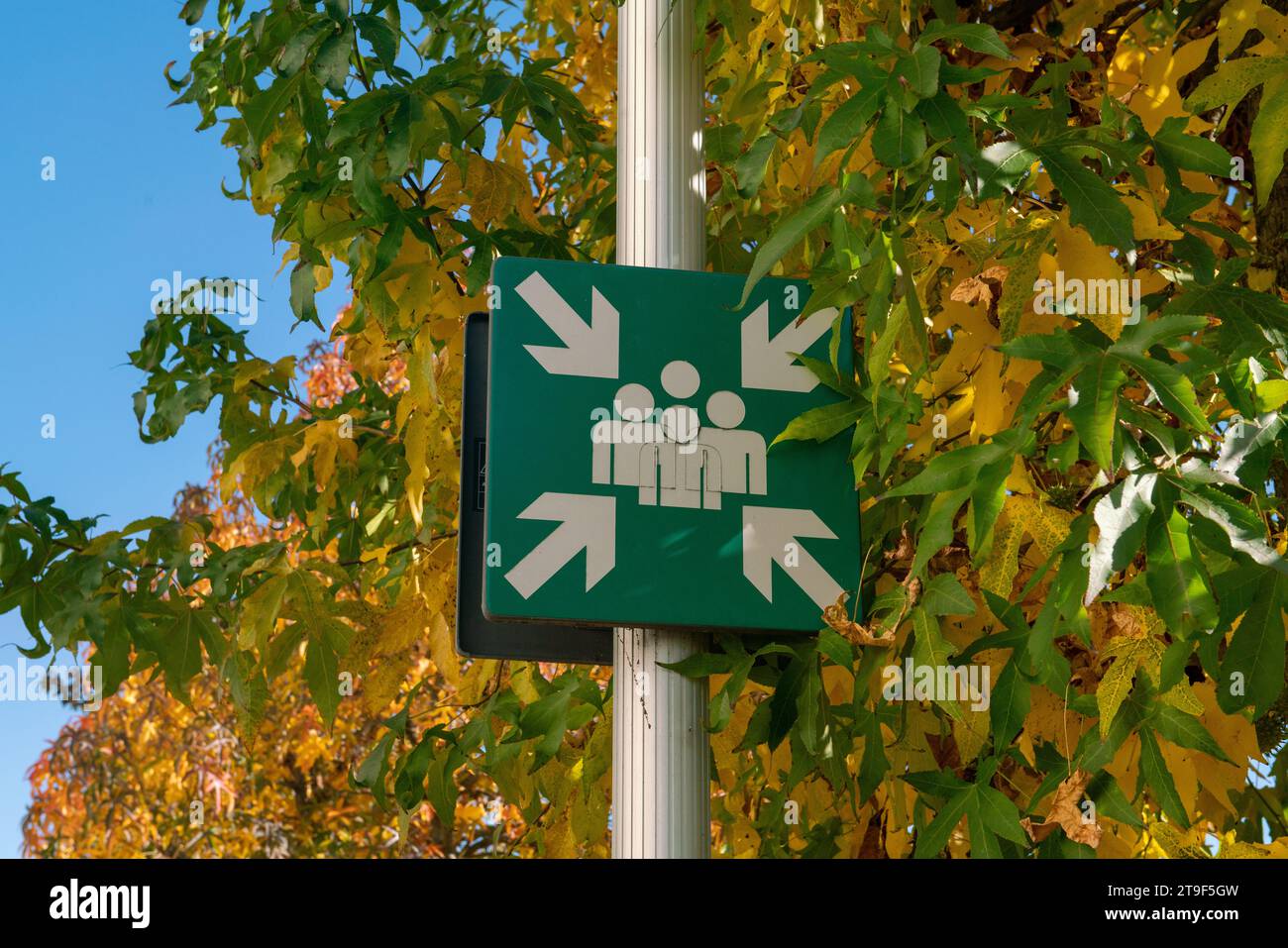 fire collection point, emergency exit signs and collection point for ...