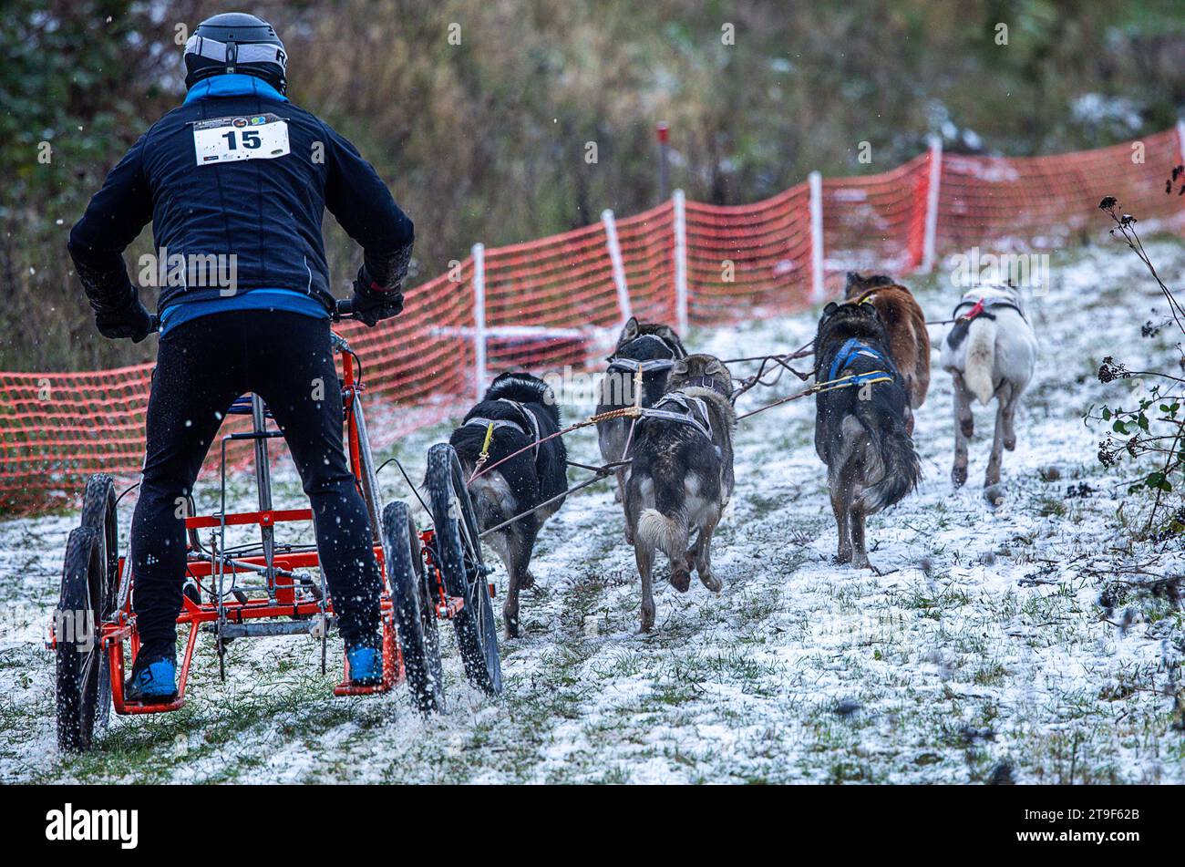 Plate, Germany. 25th Nov, 2023. Jürgen Stolz from the FSSC Franken ...