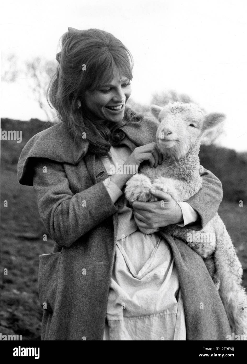 JULIE CHRISTIE on set location candid in Dorset holding a young lamb ...
