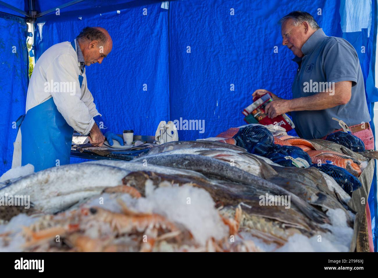 Fish stall hi-res stock photography and images - Alamy