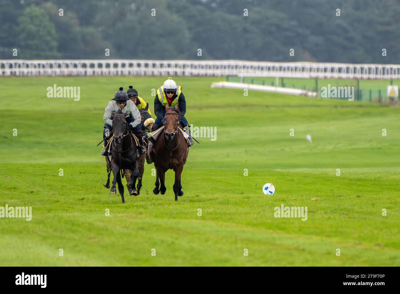 Harty racing stables hi-res stock photography and images - Alamy