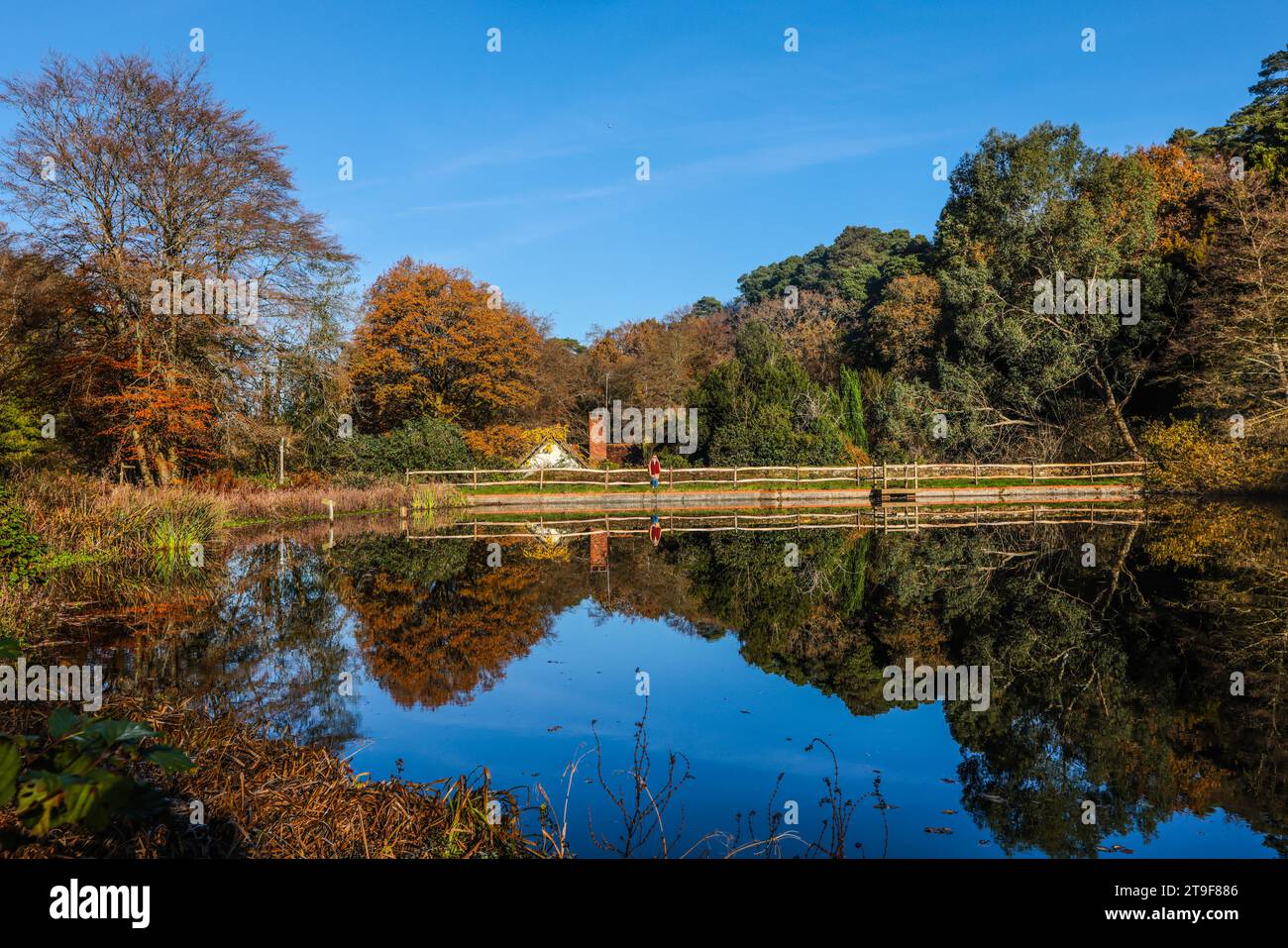 Surrey Hills, Surrey 25 Nov 2023 Friday Street in Surrey Hills showing ...