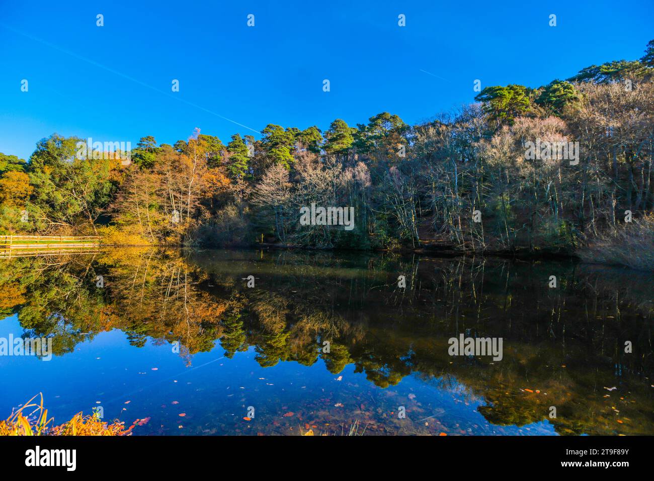Surrey Hills, Surrey 25 Nov 2023 Friday Street in Surrey Hills showing ...