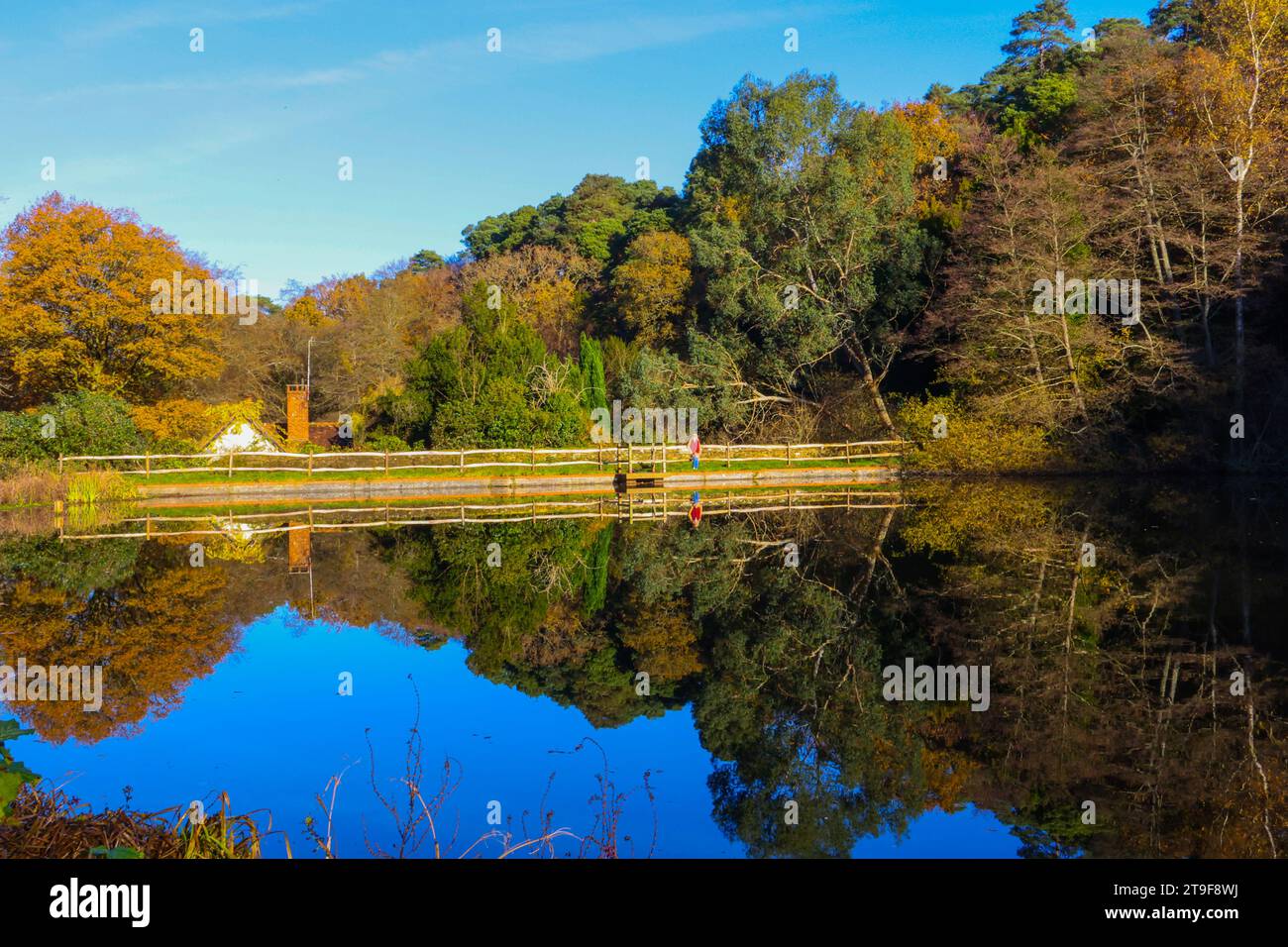 Surrey Hills, Surrey 25 Nov 2023 Friday Street in Surrey Hills showing ...