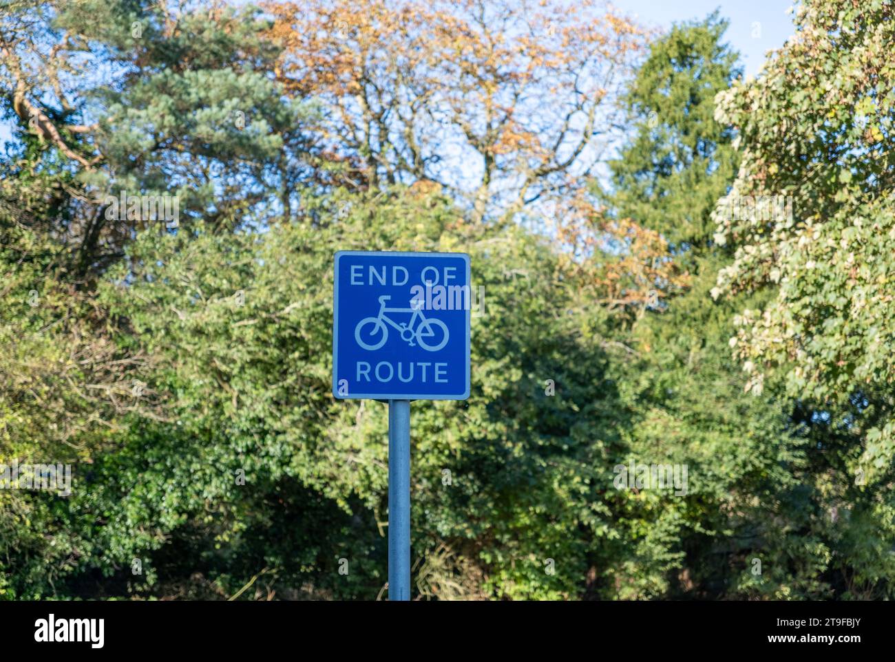 Cromer, Norfolk, UK – November 6 2023. Close and selective focus on an ...