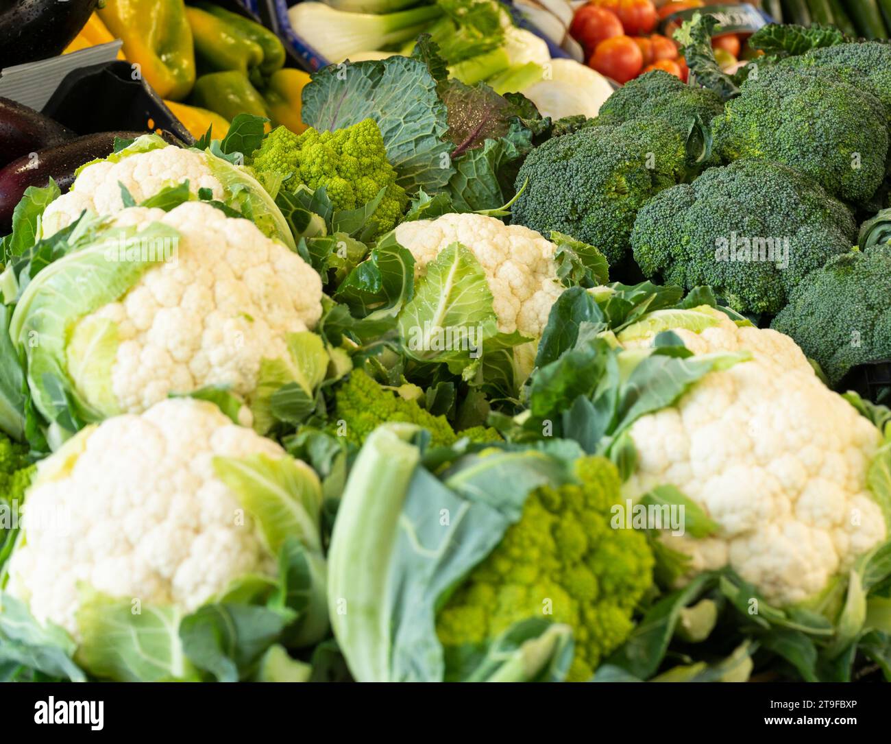 A variety of fresh vegetables displayed at a market in an old town ...