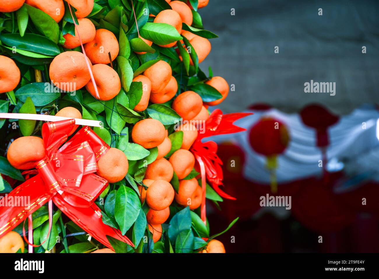 Celebrate the festive season hi-res stock photography and images - Alamy