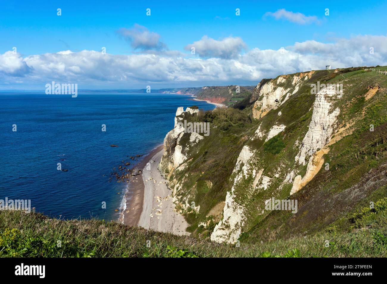 Branscombe; Hooken Cliffs; Devon; UK Stock Photo - Alamy