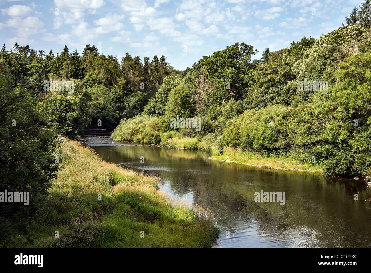 River Torridge; View From Weir Bridge; Devon; UK Stock Photo - Alamy
