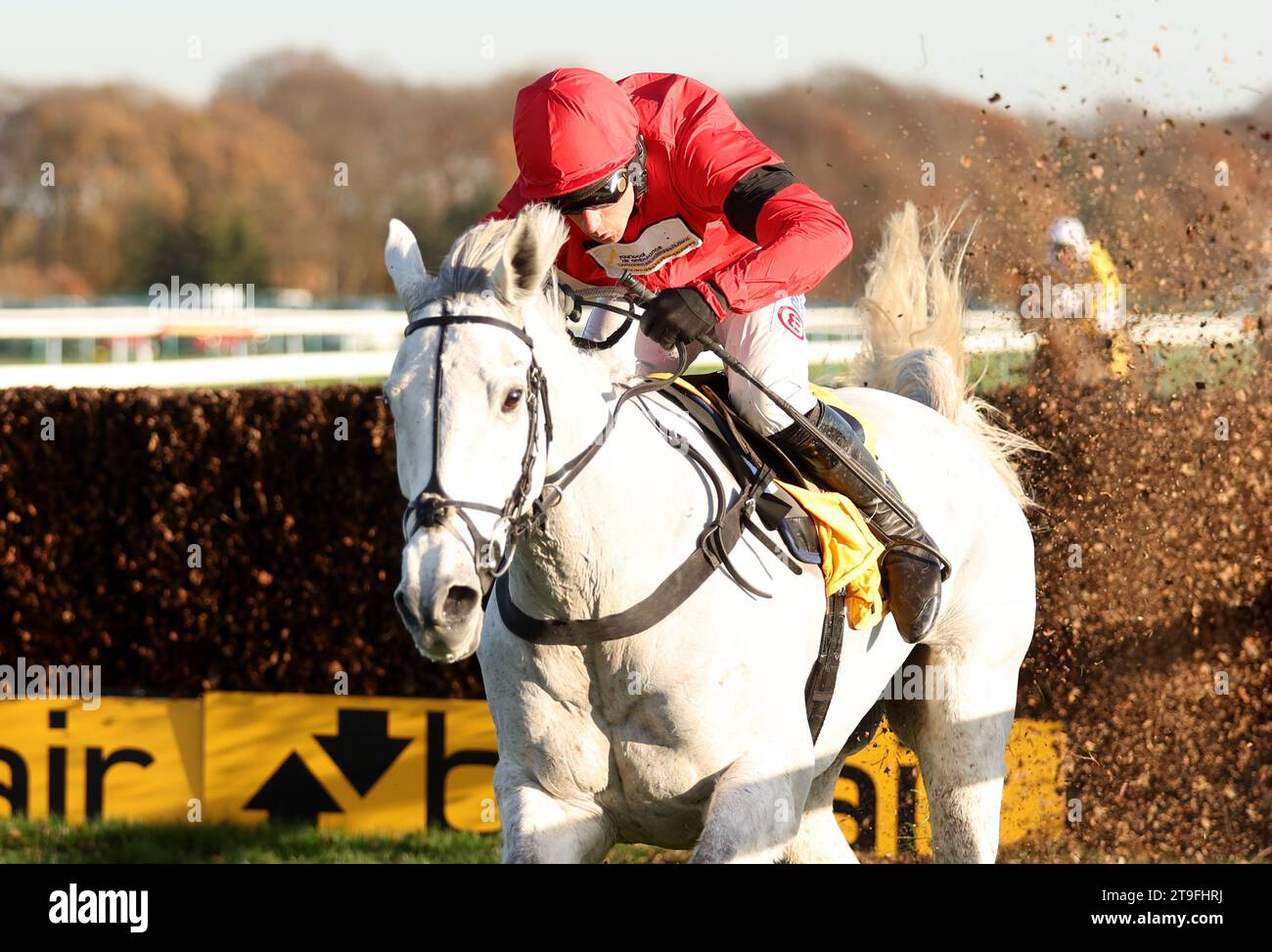 Grey dawning horse racing hi-res stock photography and images - Alamy